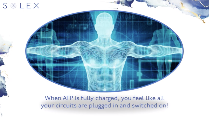 AO Body Scan | Experience Alternative Energy Medicine