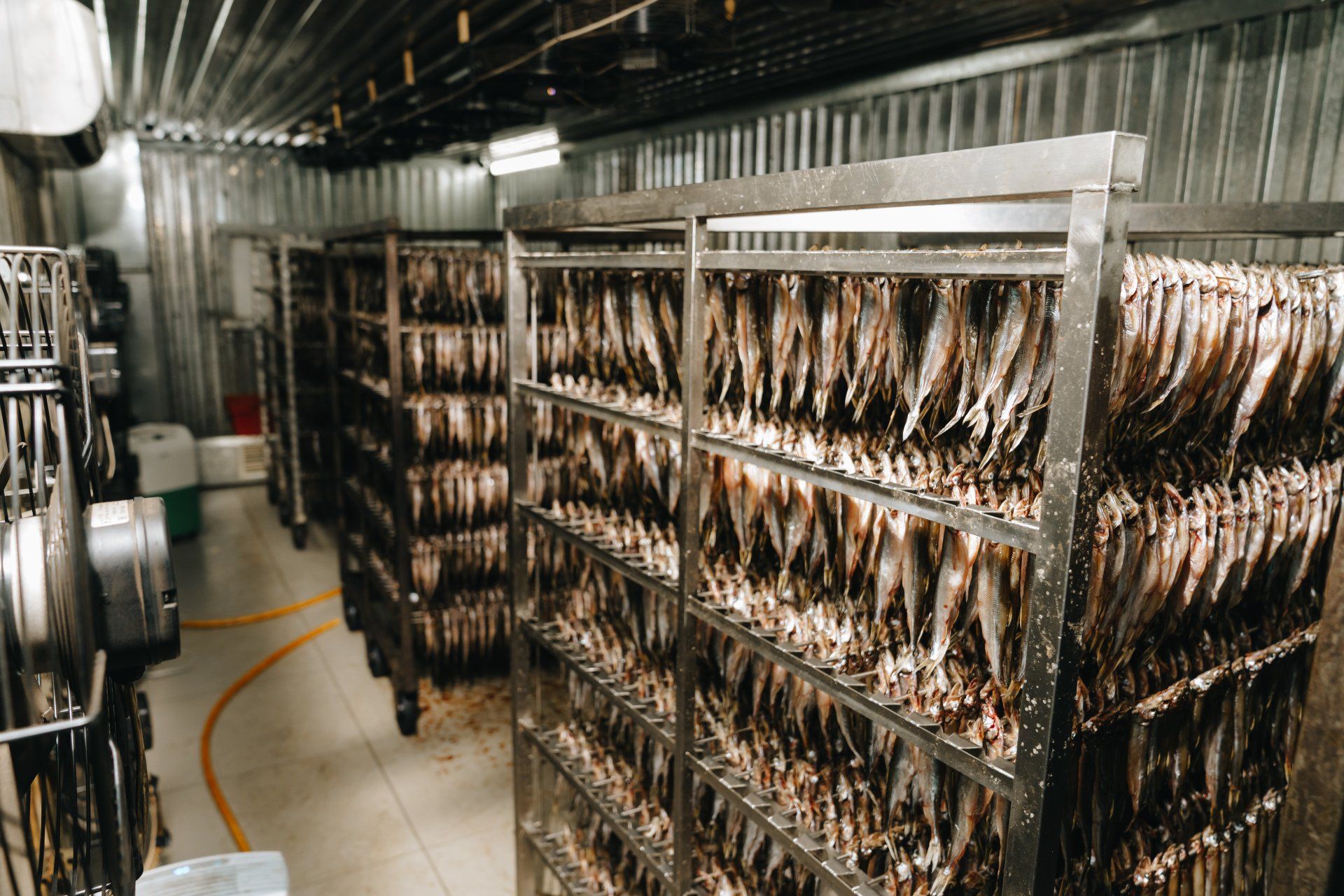 Data Loggers - Everything You Need To Know | A Complete Guide | Adapt ...