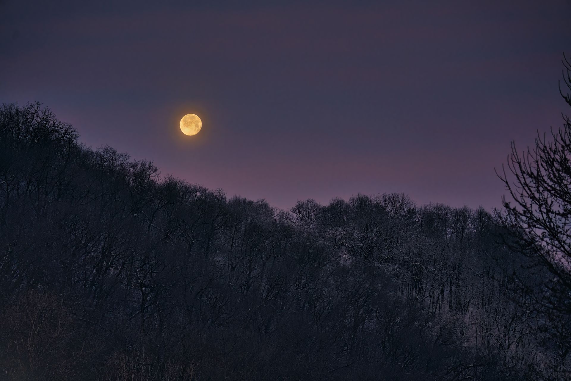 Unforgettable Experiences at Hidden Valley Wilderness Reserve
