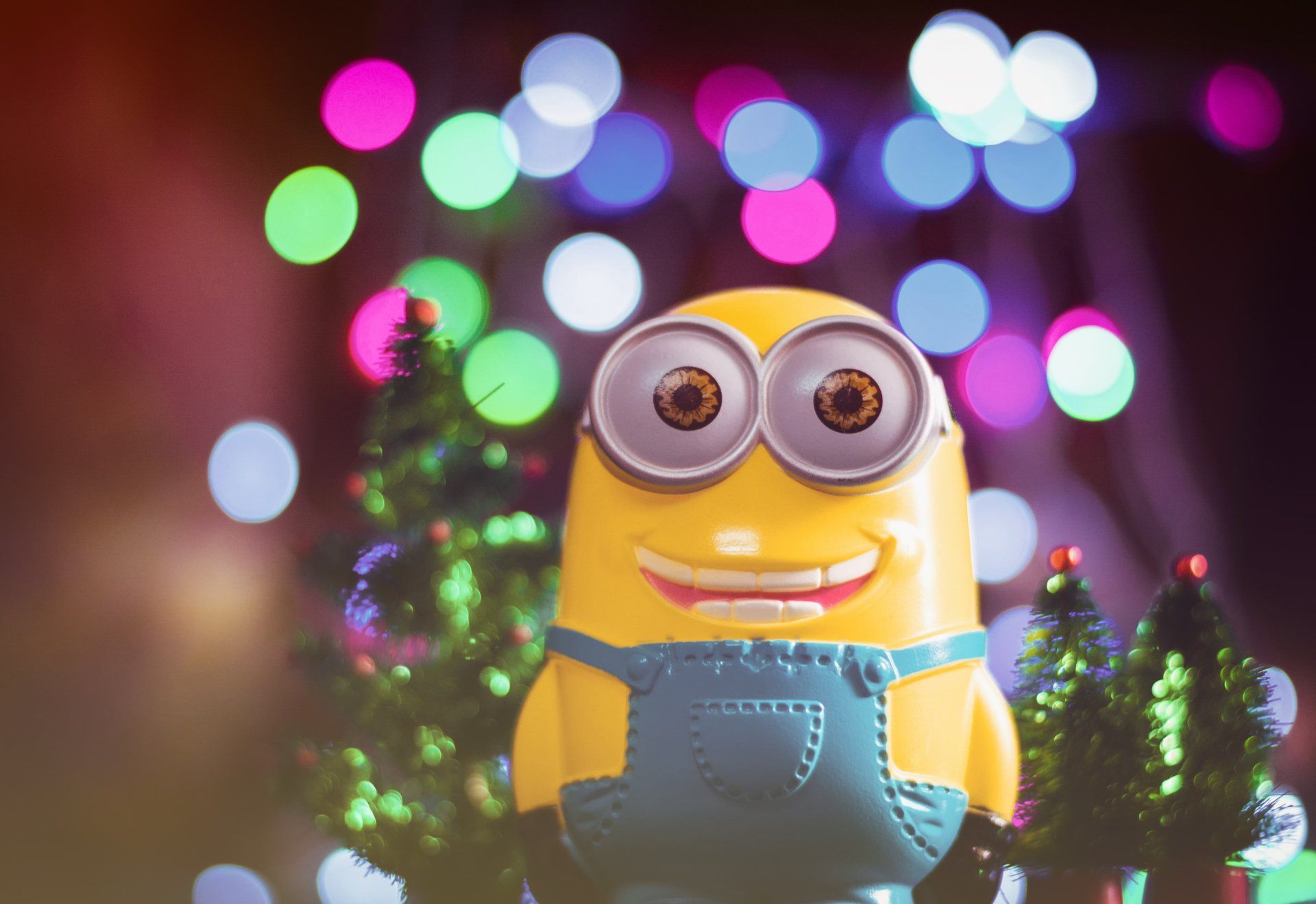 DIY workshop minion edition