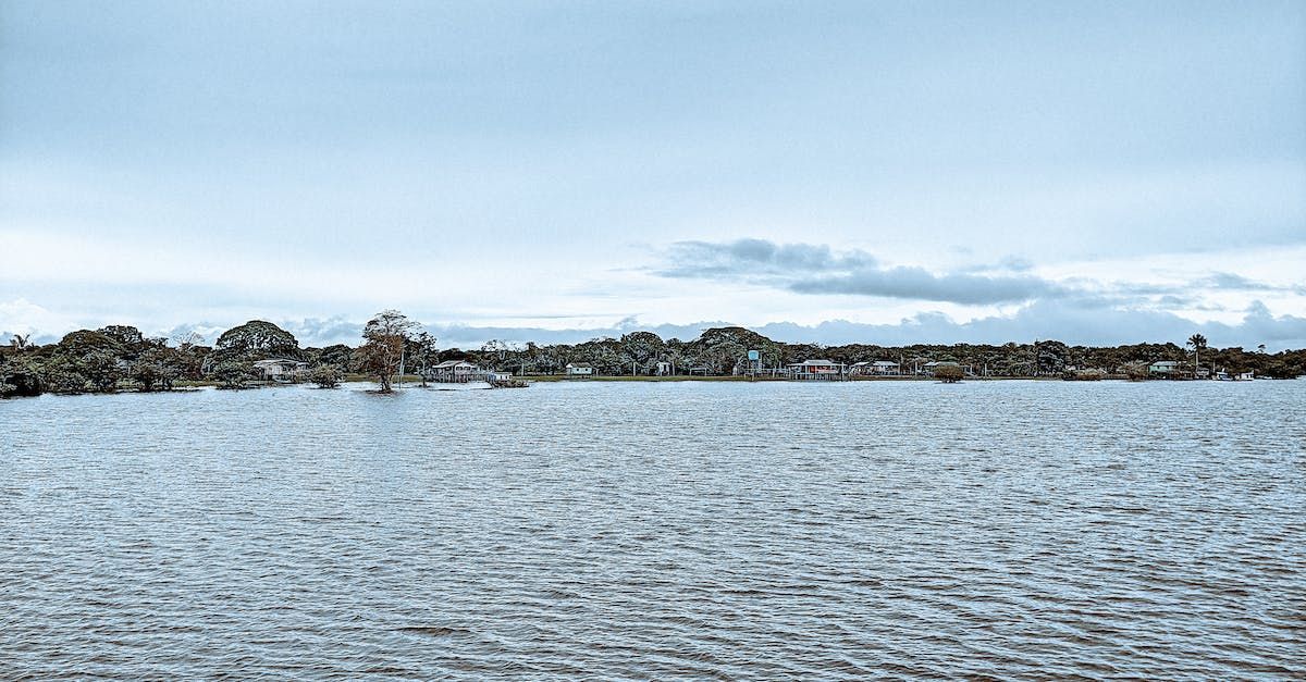 Catching Two Fish at a Time; Not Letting Go