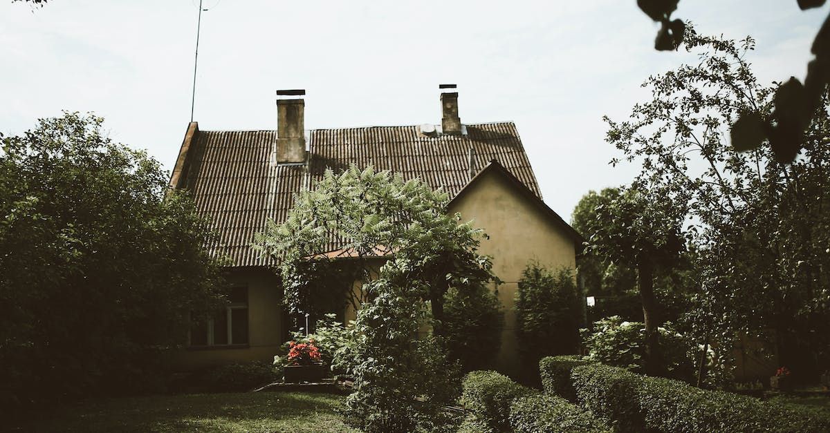 The Importance of Regular Tree Maintenance