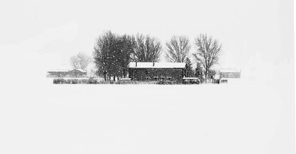 Crawl Space in Winter: The Hidden Impact of Cold Weather