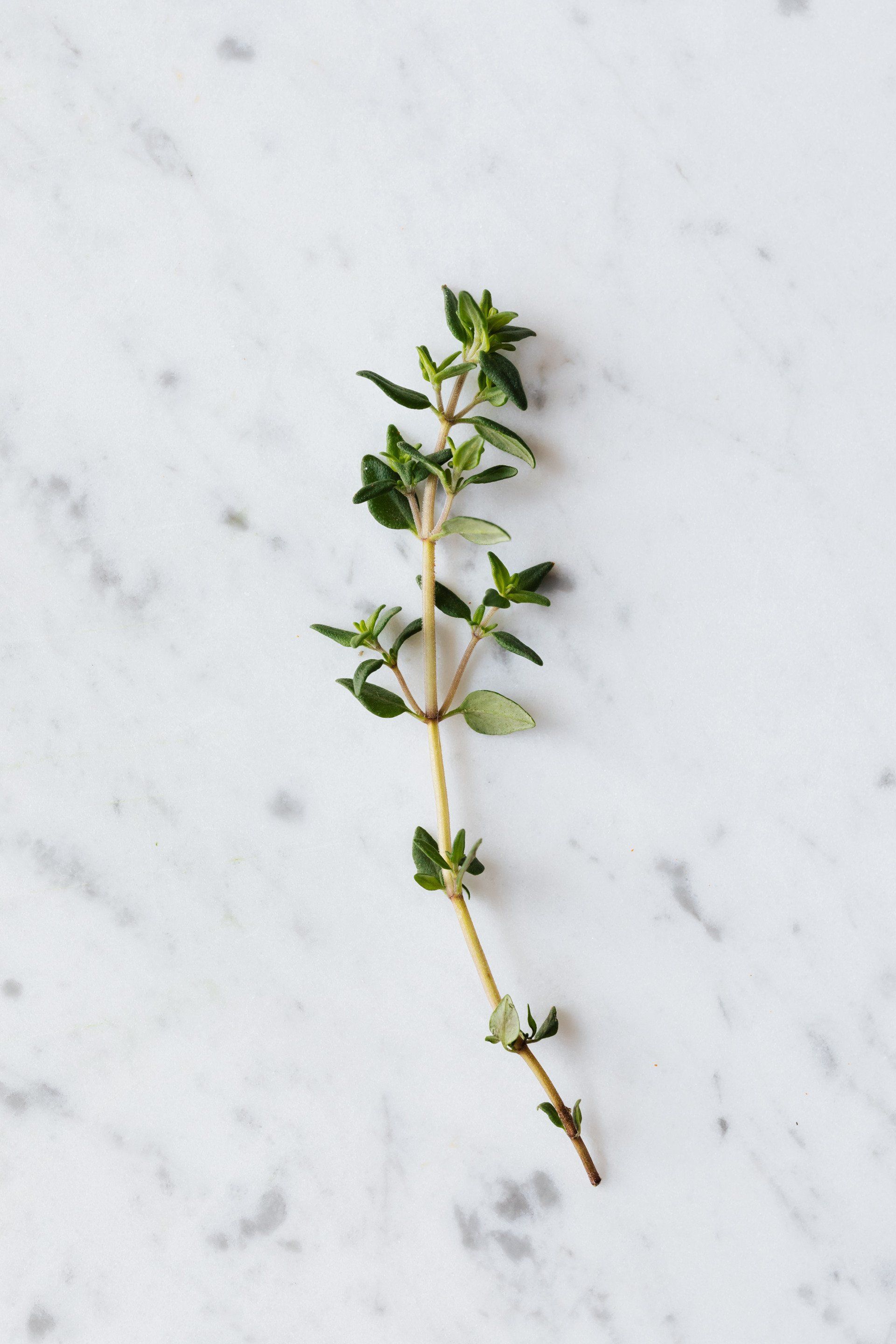 Thyme Tables Creations