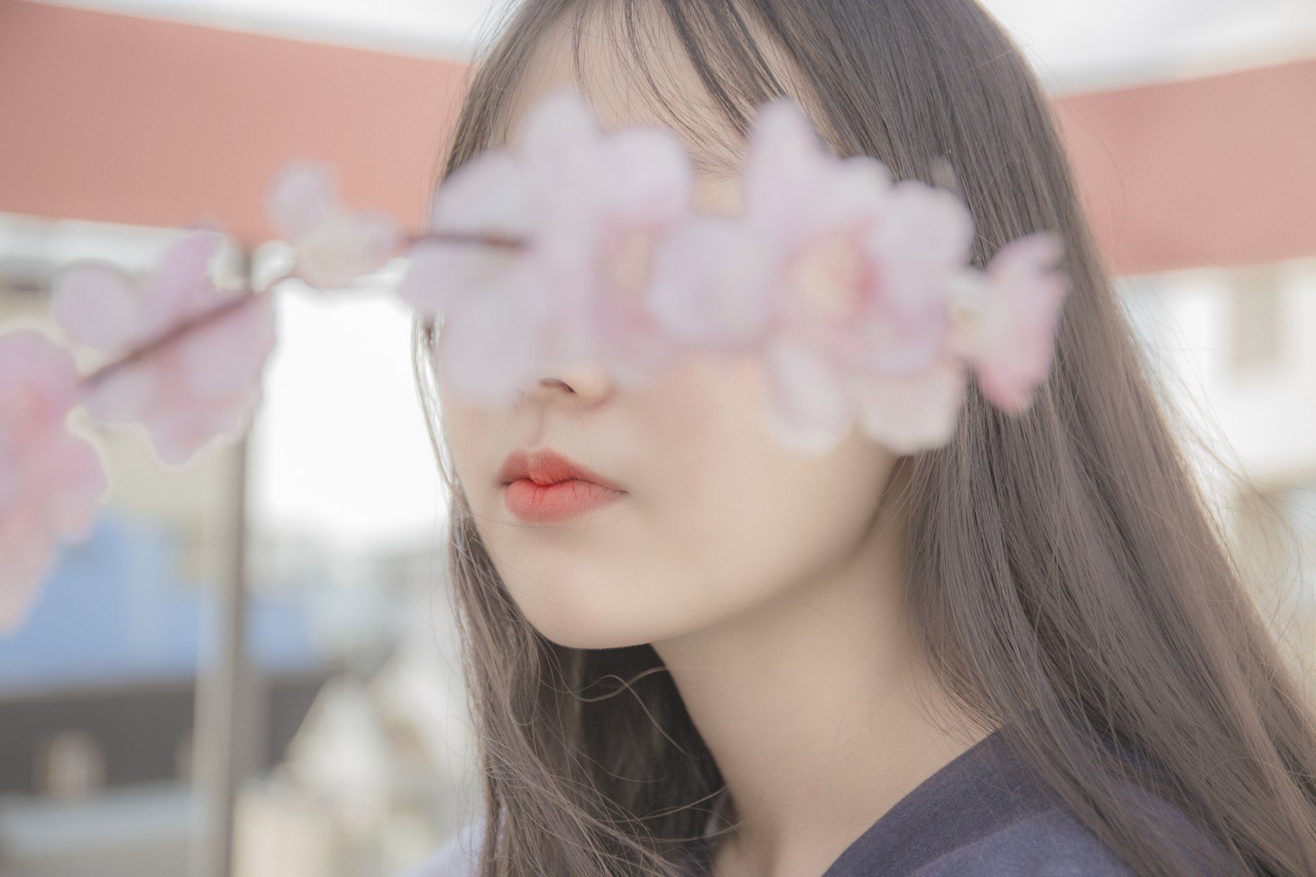 TO ALL MY HIGH SCHOOL FOLLOWERS