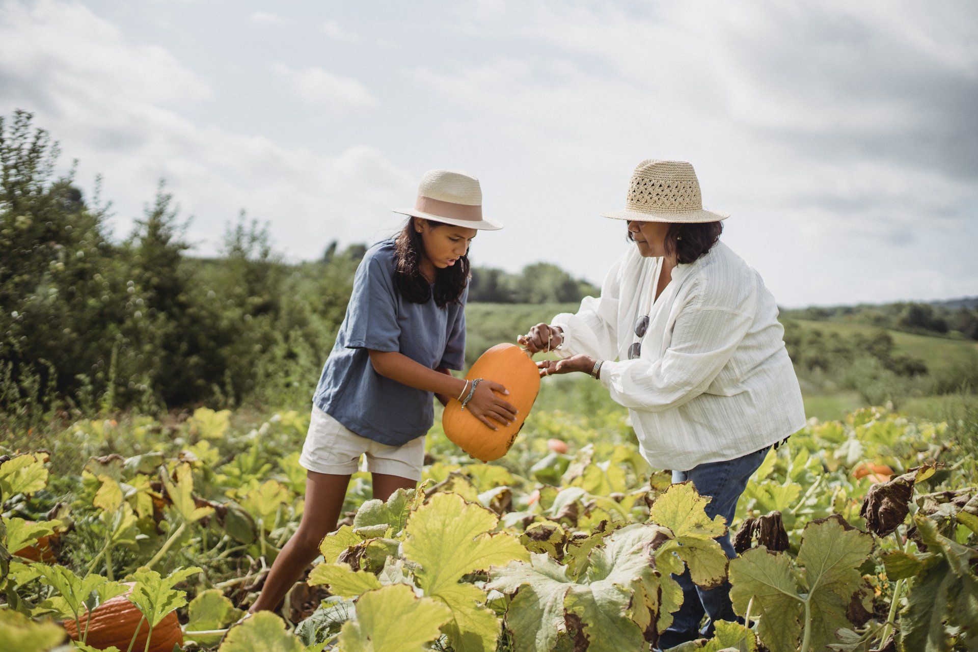 Handpicked Pumpkin Patches & Fall Activities for Families