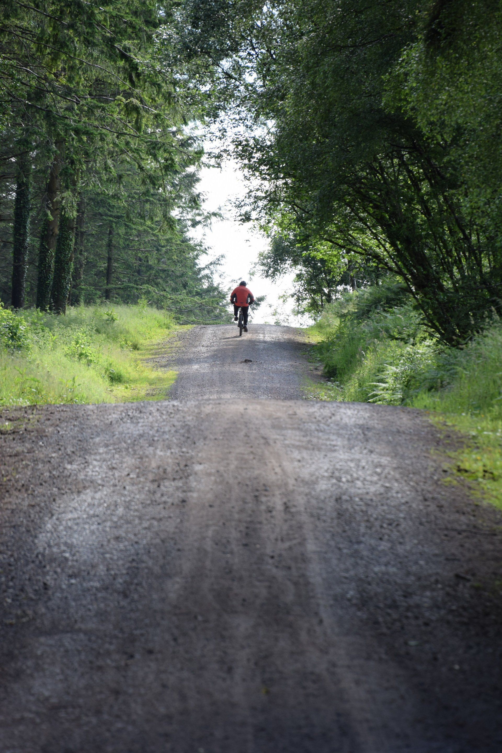 Gravel Riding: 3 Tips for your Gravel Adventure!