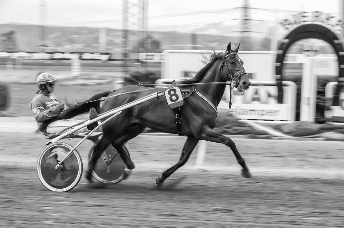 Stawell Harness Racing Club