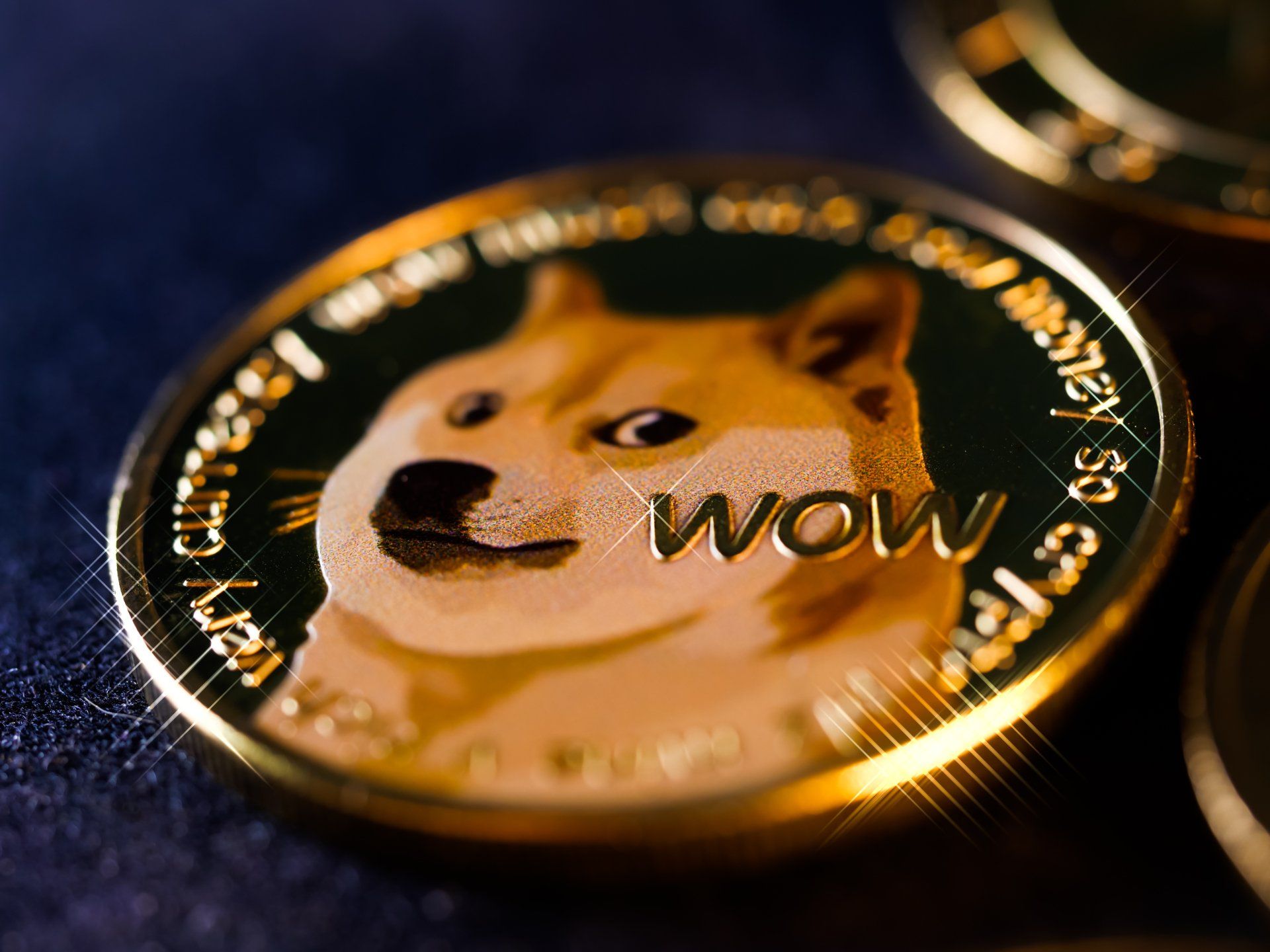 XDGEVENT.COM - Zahlung in Dogecoin für 30 Cent pro DOGE