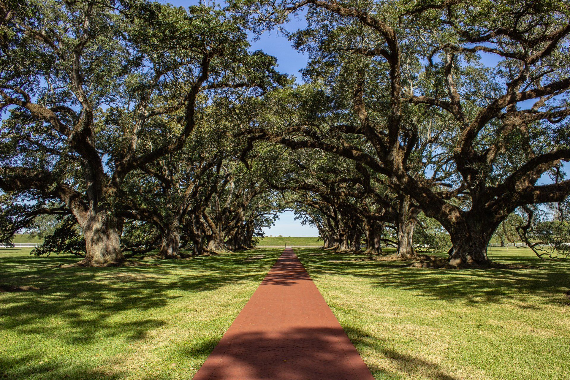 Louisiana HOA Laws