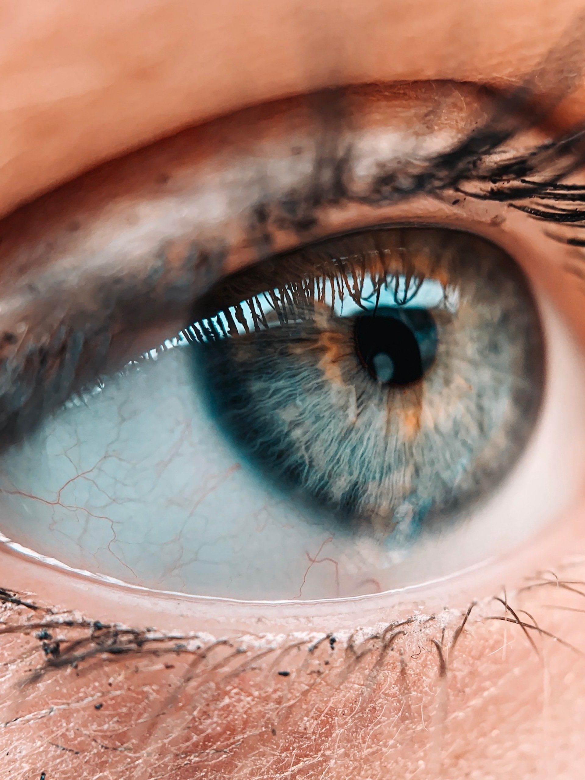 Optometry Clinic in Marysville & Lake Stevens, WA | Grandview Optometry