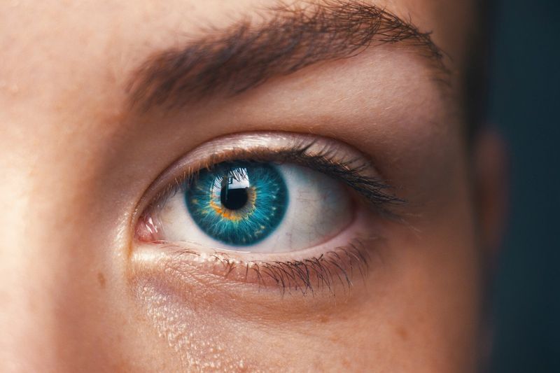 Trichiasis | South Gibson Eyecare | Haubstadt, IN