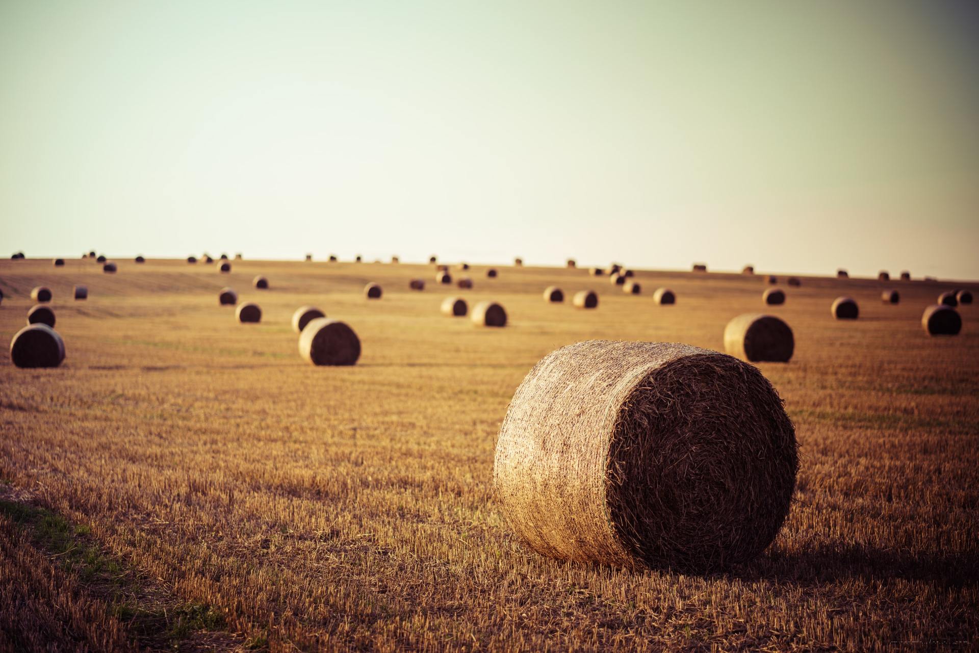 Hay Broker | Hay Hauling | Minnesota | 507-317-6160