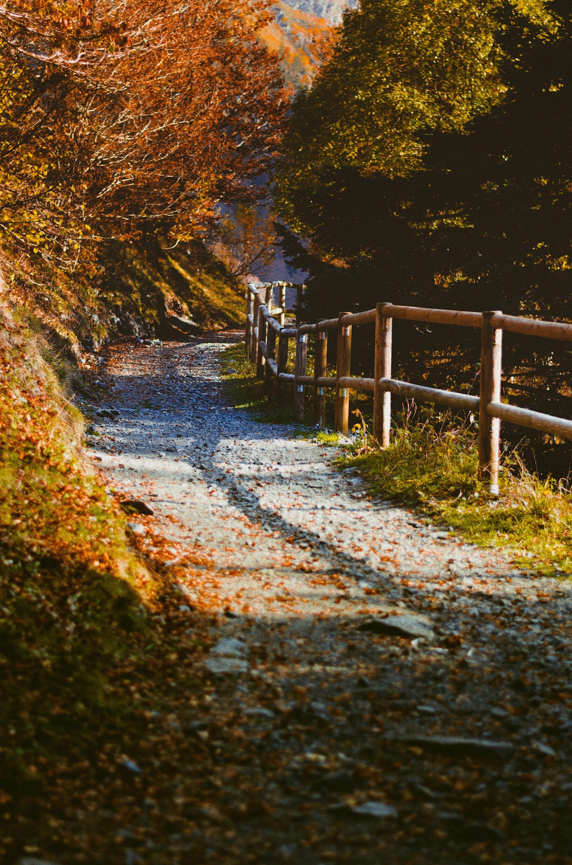 Walk the Narrow Road to Eternal Life - Inspire Within Devotions