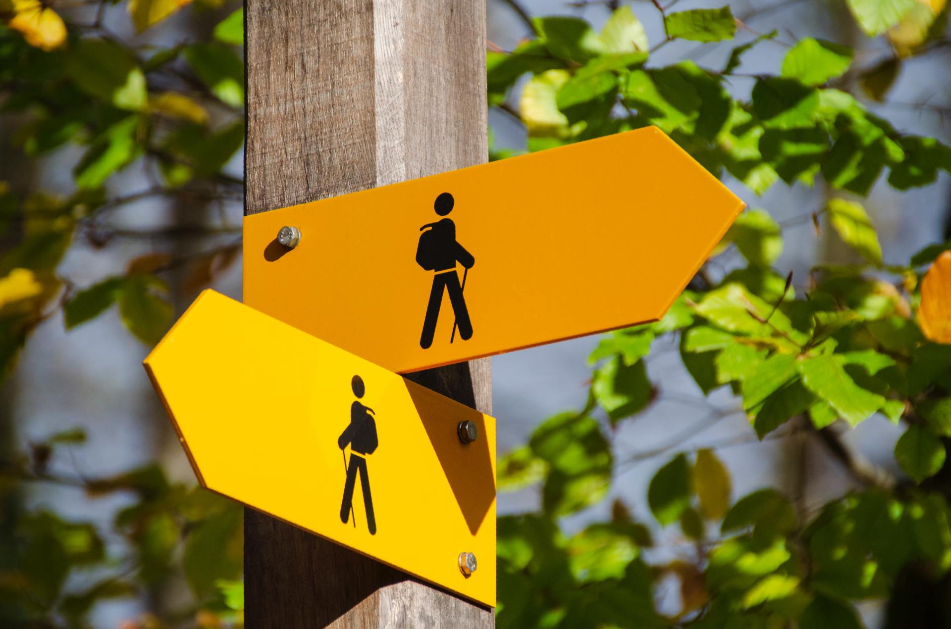 Dangers Of Appointing The Wrong Data Protection Officer dangers-of-appointing-the-wrong-data-protection-officer