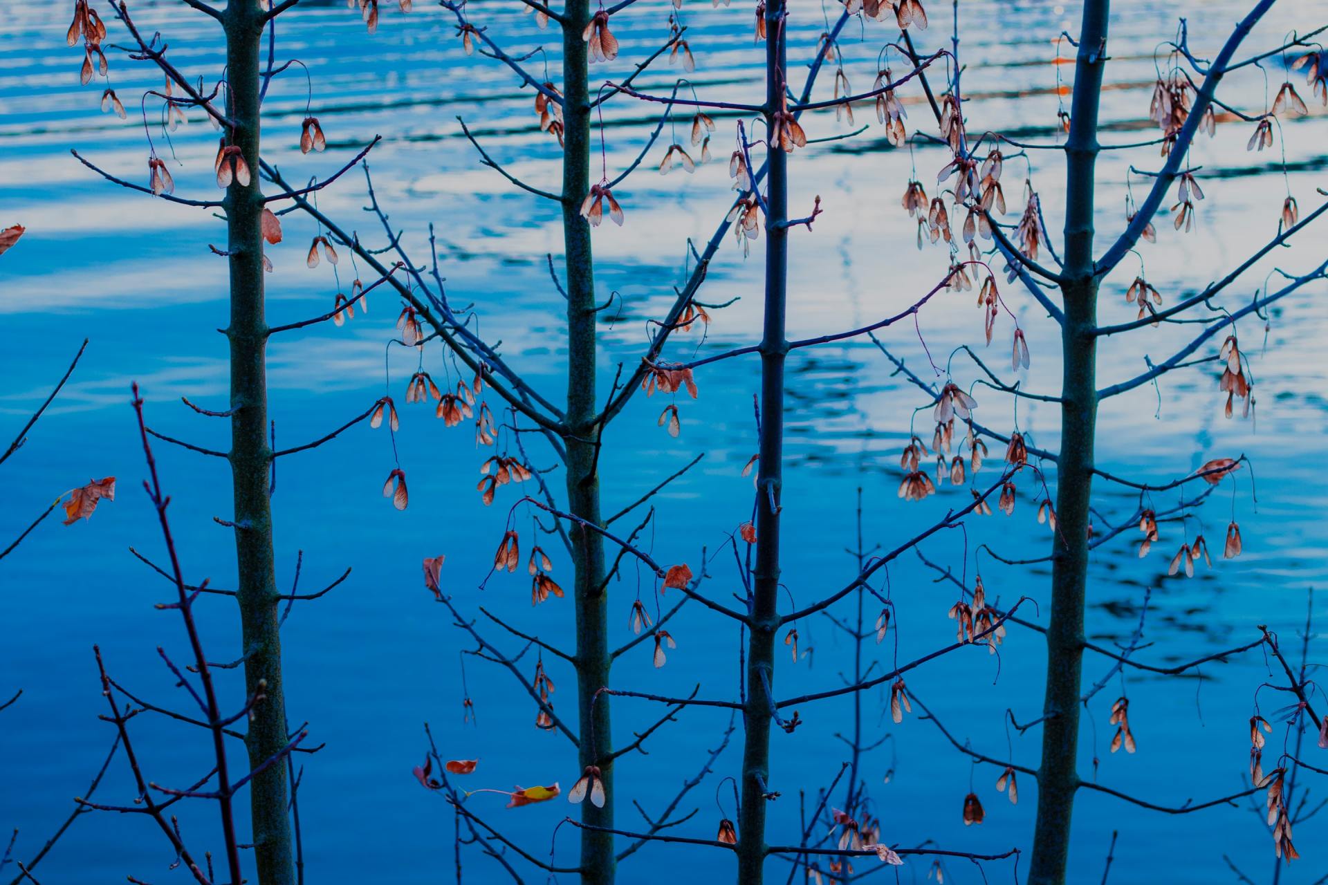 Productos amigables con el medio ambiente