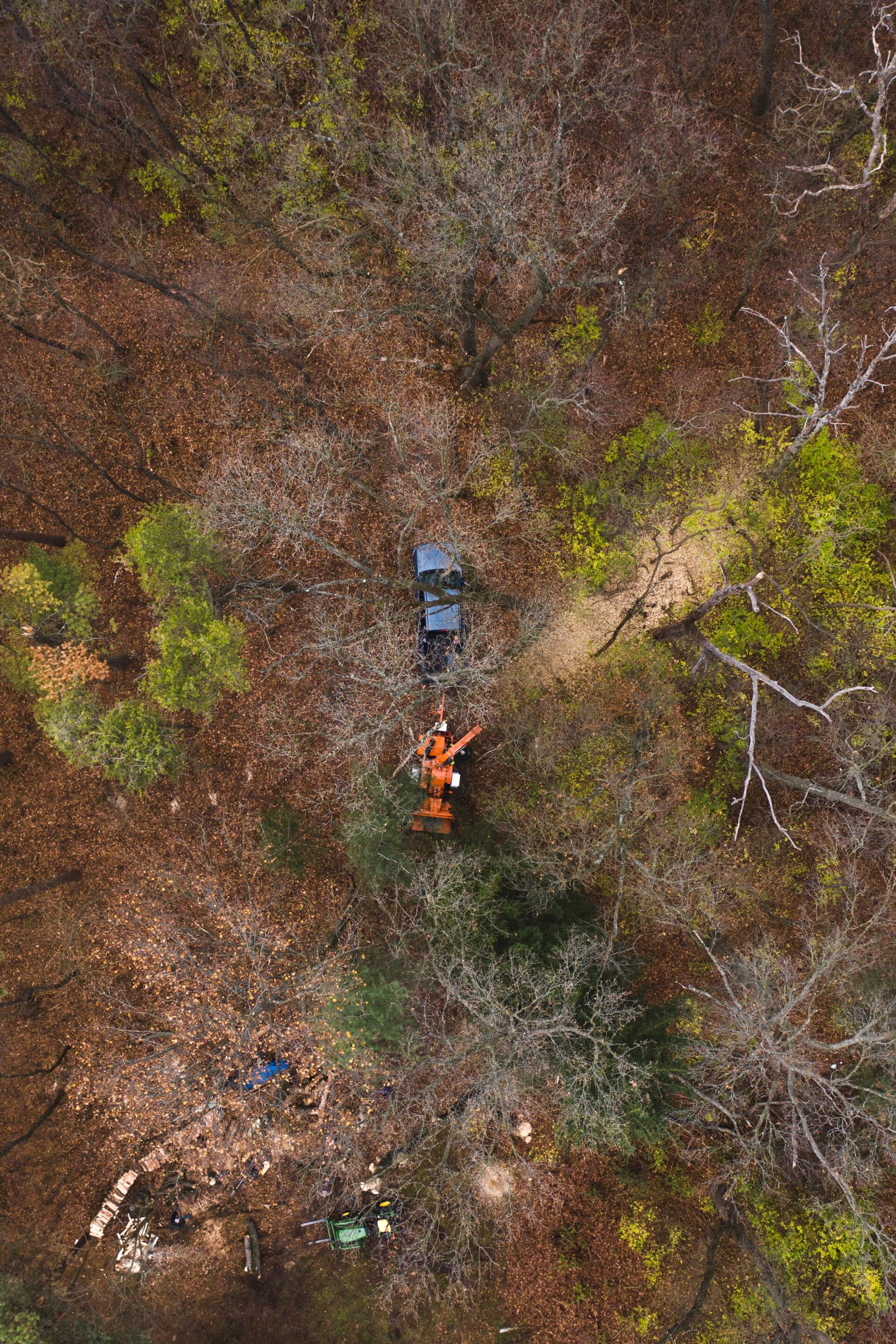 Tree Shredding Service Explained