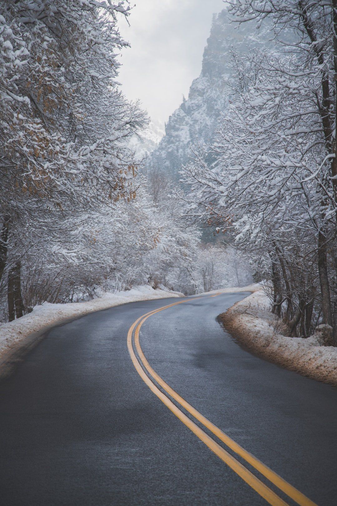 Disaster Aid Available to 126 Counties Affected by Winter Storm Disaster Aid Available to 126 Counties Affected by Winter Storm
