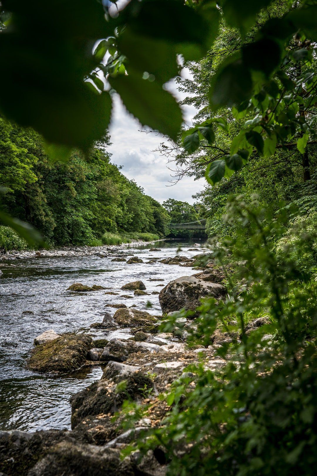 J. Pickard & Co. (Burrington) Ltd. - Umberleigh, North Devon - Home